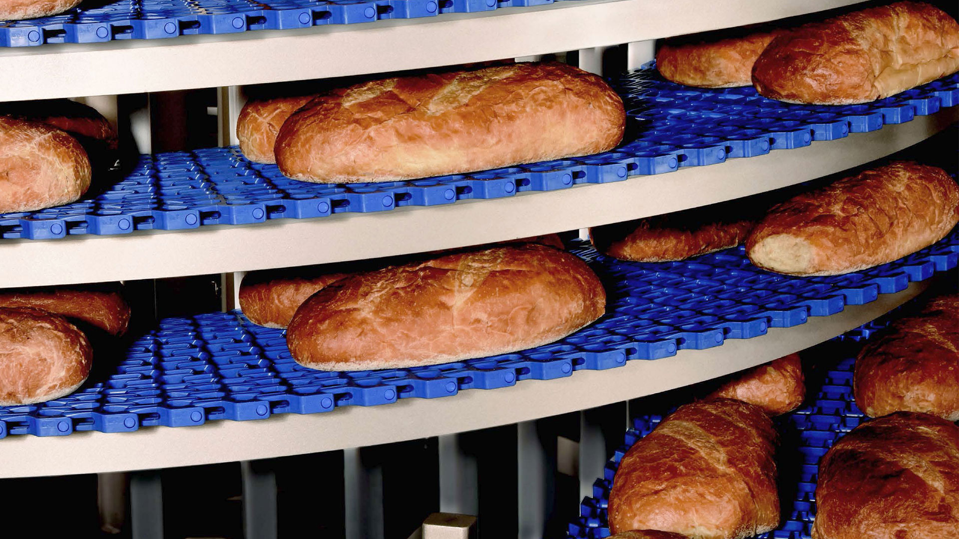 Best of Both Worlds | Ashworth Conveyor Belt