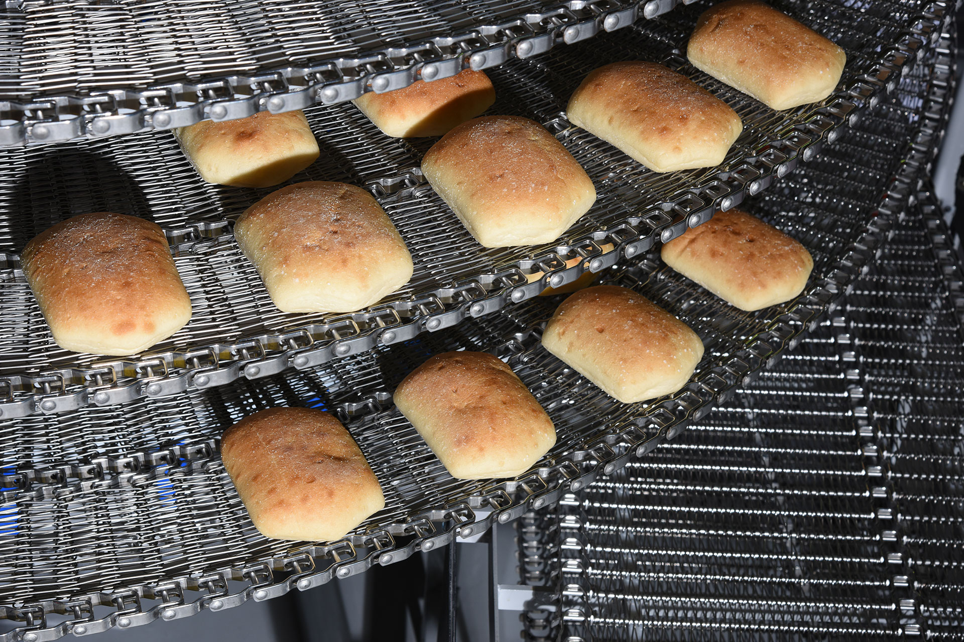 Support Options | Ashworth Conveyor Belts